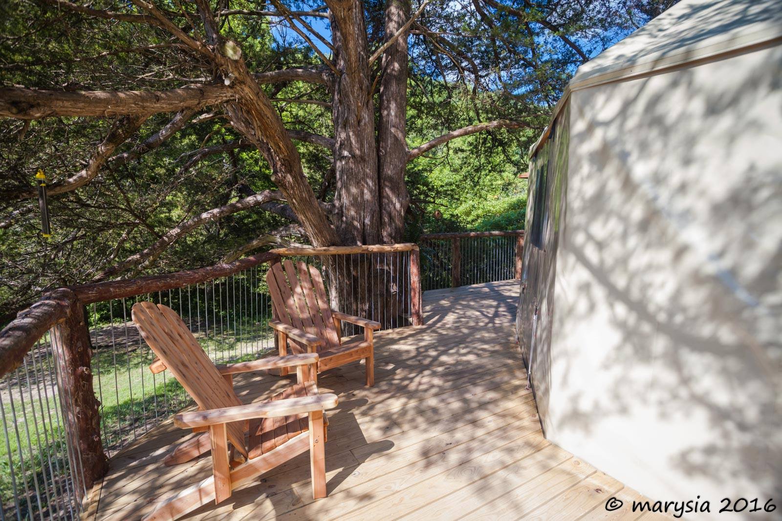 Gallery - Tree Wise Designs